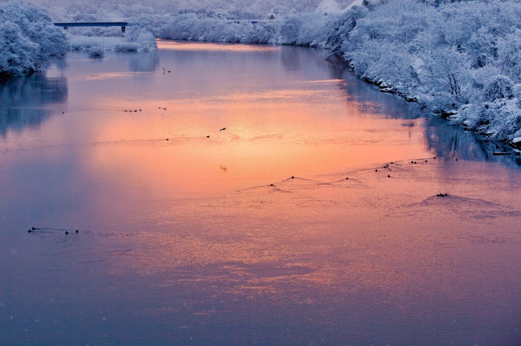 “A morning of light snowfall” | Photos | Another Kyoto Media Library