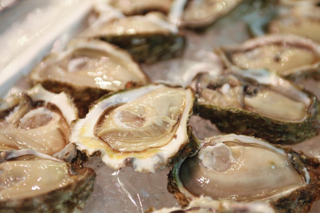 “Oysters from Maizuru Ray” | Photos | Another Kyoto Media Library