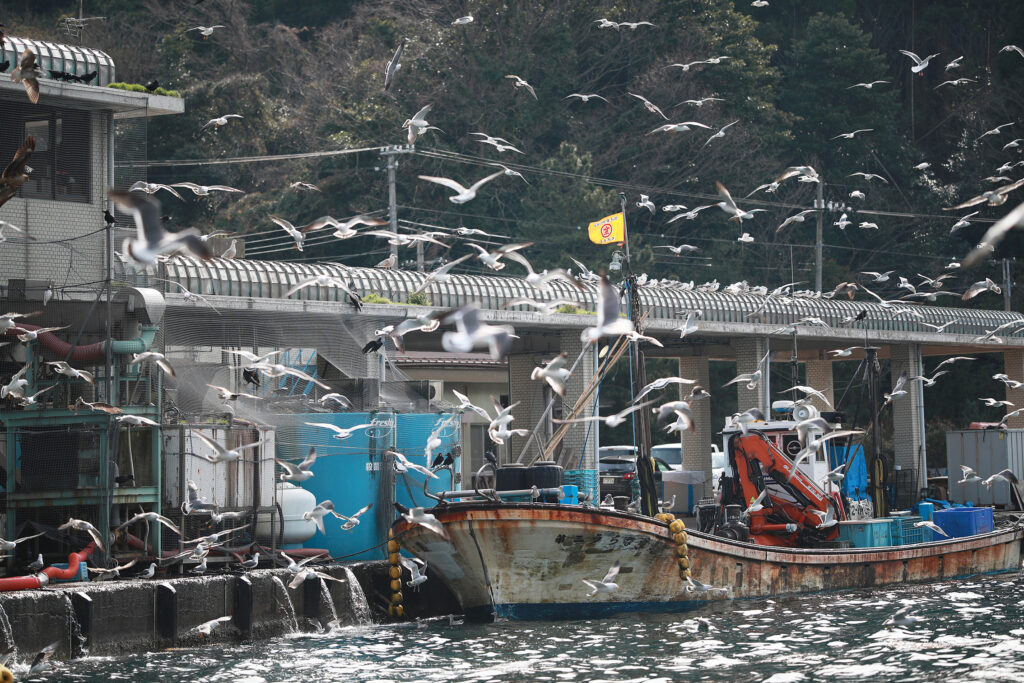 Ine-ura Fishing Port | Photos | Another Kyoto Media Library