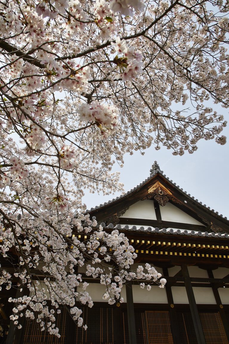 Shoho-ji Temple 3 | Photos | Another Kyoto Media Library