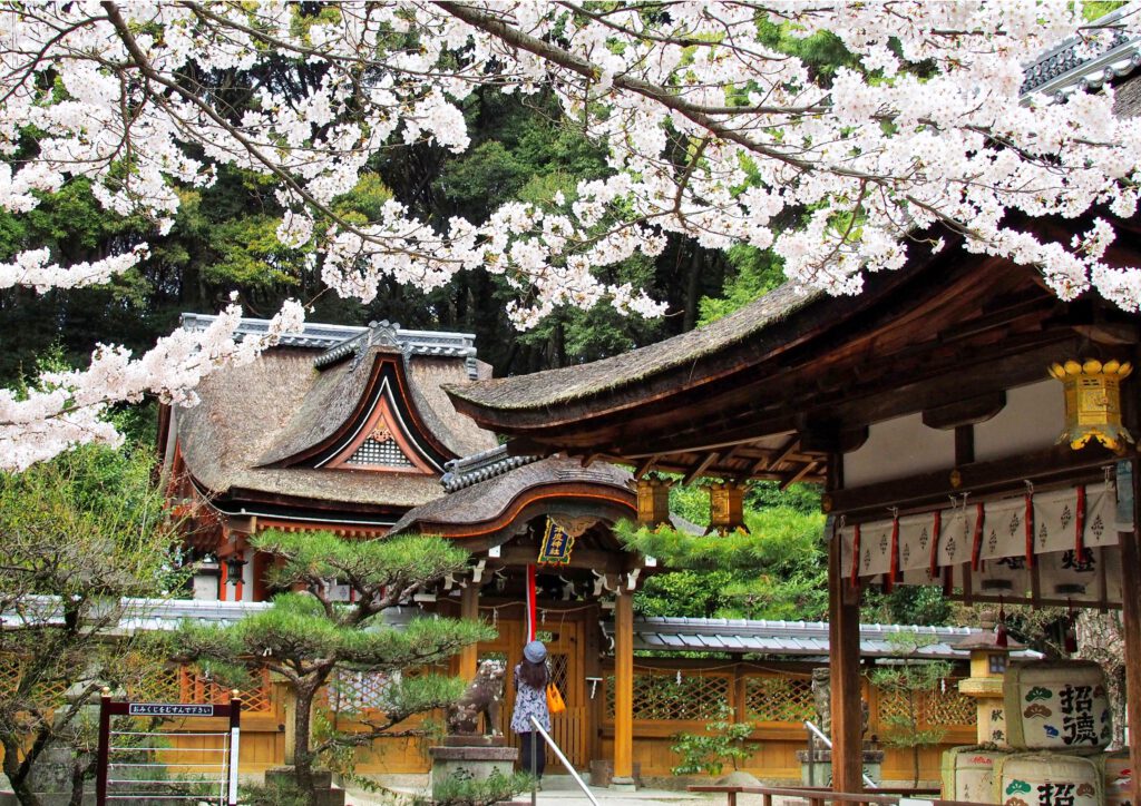 Mito-jinja Shrine | Photos | Another Kyoto Media Library